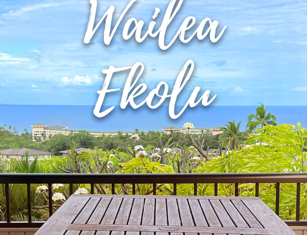 Maui's New Seafood & Steak Restaurant: Havens Harborside