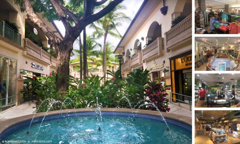 3-Day Itinerary of Maui: Must-Do Activities