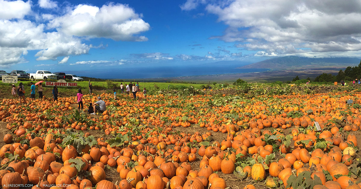 Maui Fall Vacation - Events and Activities in October