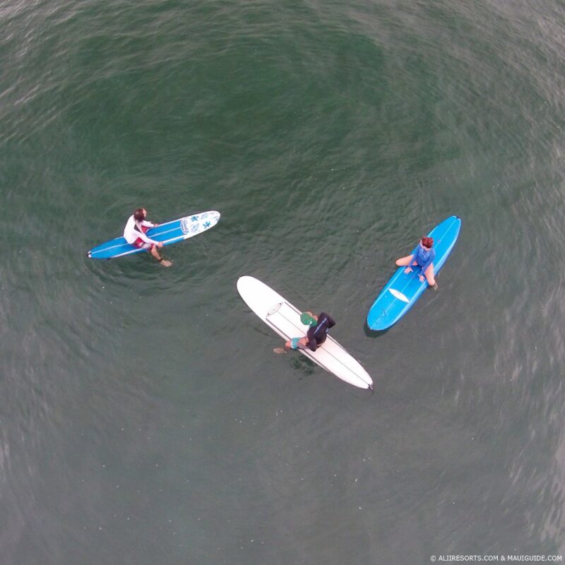 Surfing in Maui - A Comprehensive Guide - for Beginners & Experts