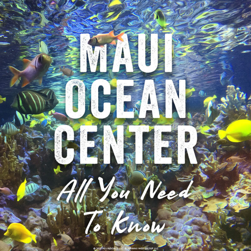 The Ultimate Maui Ocean Center Guide - Maui Aquarium