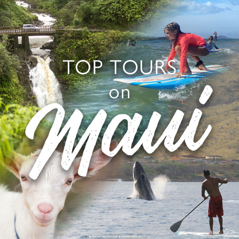 Top 7 Maui Tours in 2025 - Snorkeling, Kayak, Yoga, Haleakala