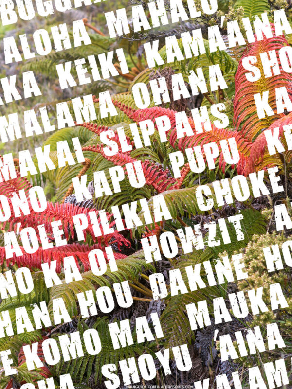 21 Words You Should Know Before Traveling To Maui